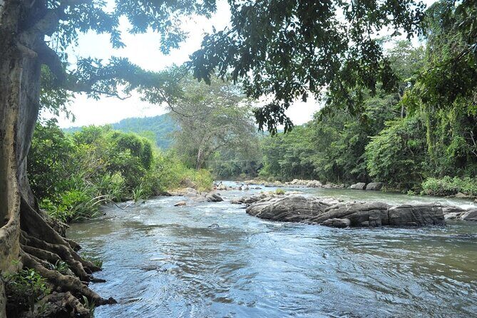 Full day Kandy walking tour with TUK TUK ride to Peradeniya gardens - The Sum Up