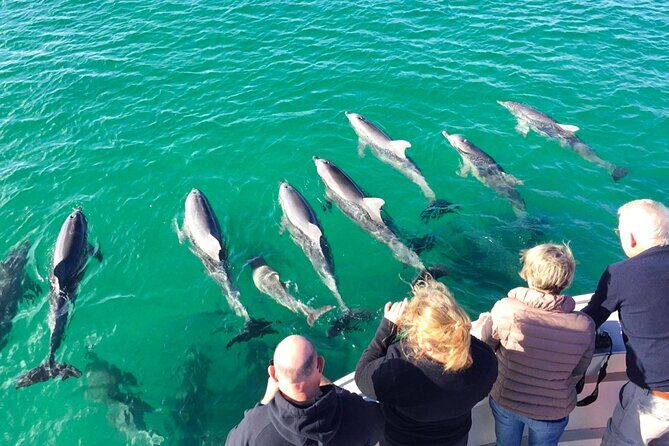 Full-Day Kangaroo Island Experience Departing from Kangaroo Island - Frequently Asked Questions