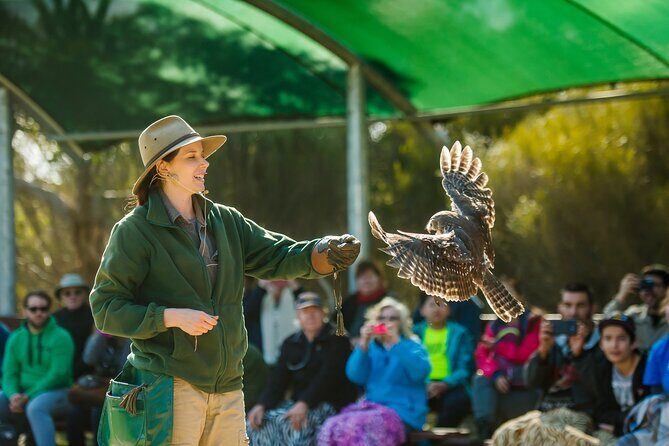 Full Day Kangaroo Island Sip and See Tour departing from Kangaroo Island - Exploring the Itinerary in Detail