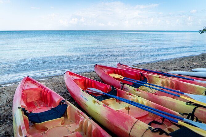 Full-Day Kayak Adventure Explore Fajardos Crystal-Clear Waters - A Detailed Look at the Full-Day Kayak Adventure in Fajardo