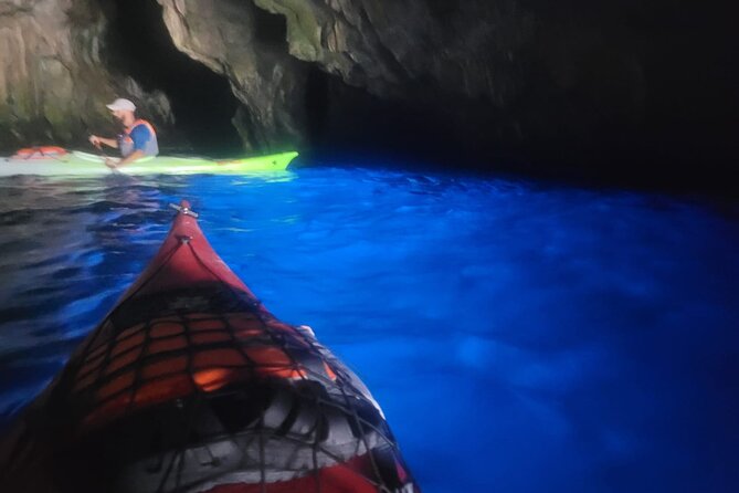 Full Day Kayak Adventure to Palinuro and Blue Grotto - Why This Tour Is a Great Choice