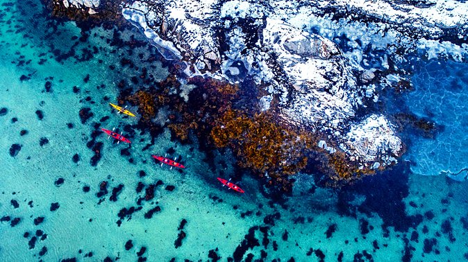 Full Day Kayak-Northern Explorer - Preparing for the Adventure