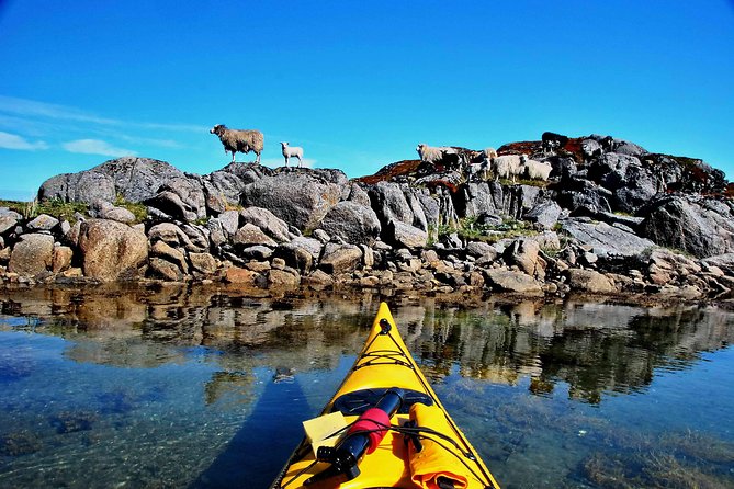 Full Day Kayak-Northern Explorer - Exploring the Lofoten Archipelago