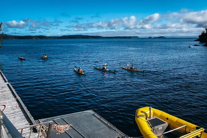 Full Day Kayaking Adventure on Vancouver Island - An In-Depth Look at the Experience