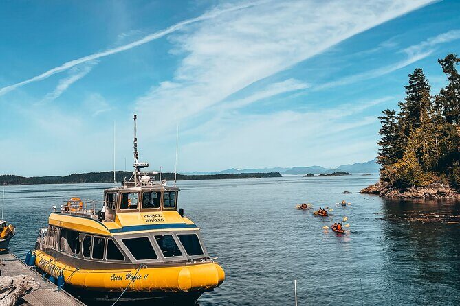 Full Day Kayaking Adventure on Vancouver Island - FAQs