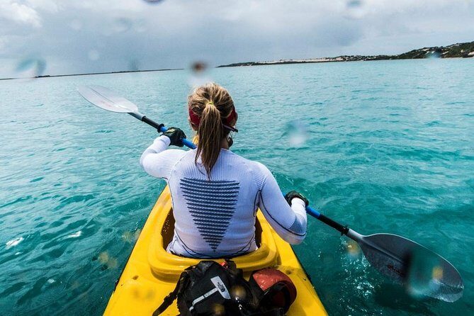 Full Day Kayaking Tour in Coorong National Park - An In-Depth Look at the Tour Experience