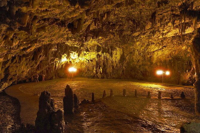 Full-Day Kefalonia Private Sightseeing Tour - Comfort