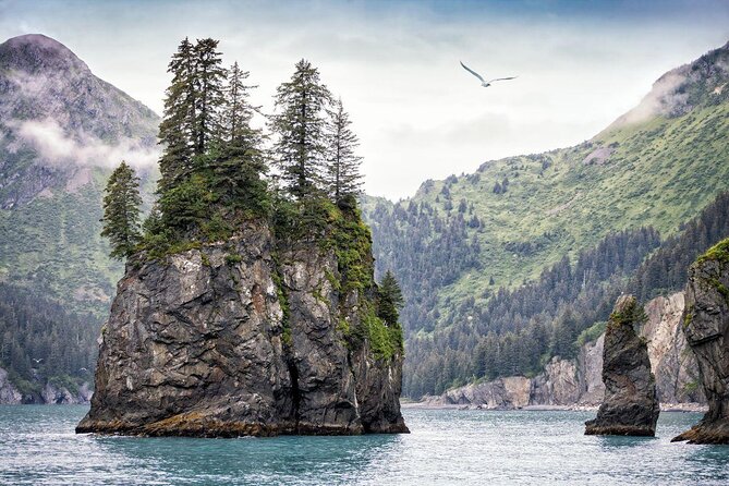Full-Day Kenai Fjords National Park Cruise - The Itinerary Breakdown