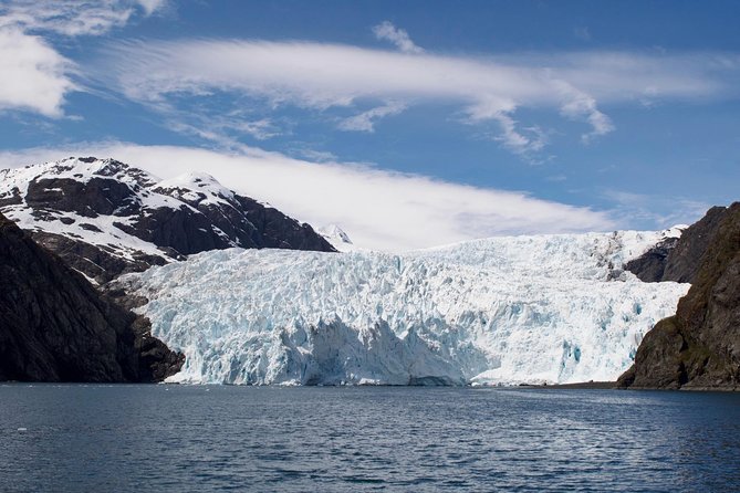 Full-Day Kenai Fjords National Park Cruise - Wildlife and Glacier Viewing