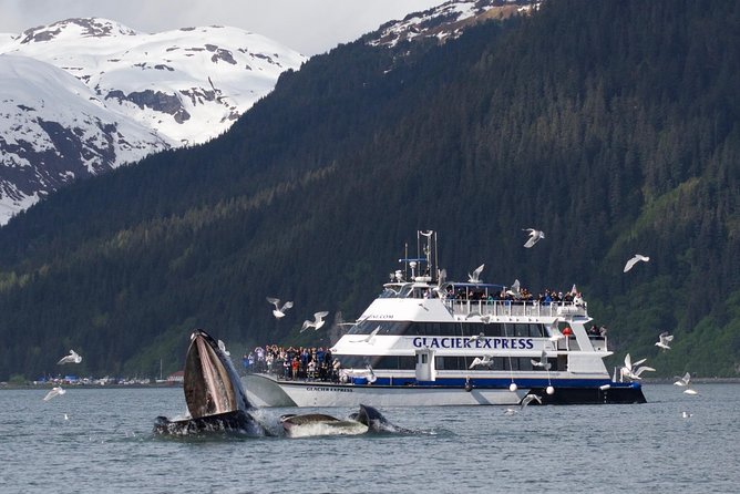 Full-Day Kenai Fjords National Park Cruise - Food and Comfort