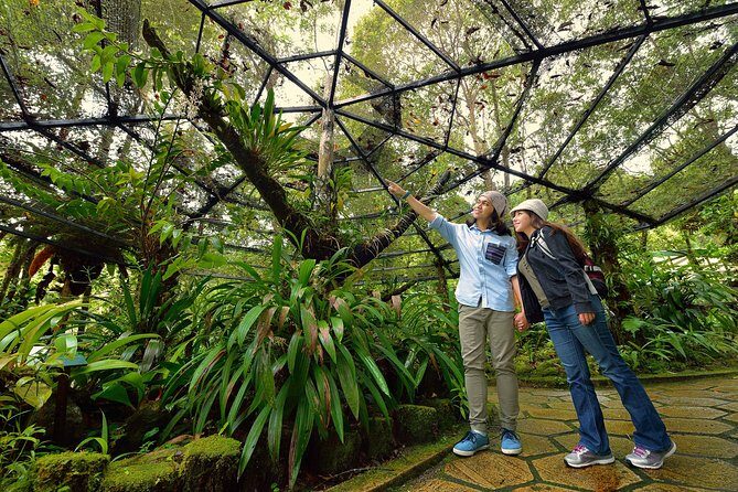 Full-Day Kinabalu Park and Poring Hot Spring Day Trip - Key Points