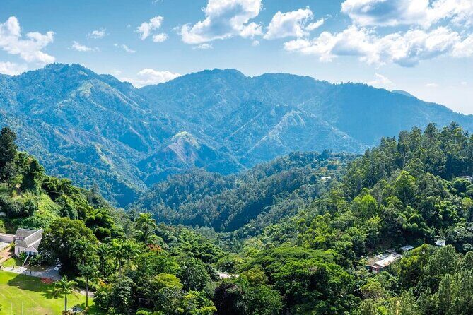 Full-Day Kingston and Blue Mountains Private Guided Tour - Exploring the Itinerary: What You Can Expect