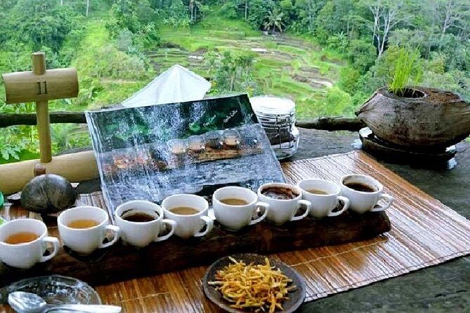 Full-Day : Kintamani Volcano - Jungle Swing - Rice Terrace - Waterfall - Temple - An In-Depth Look at the Tour