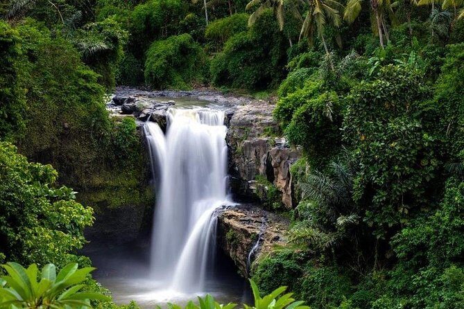 Full-Day : Kintamani Volcano - Jungle Swing - Rice Terrace - Waterfall - Temple - FAQ