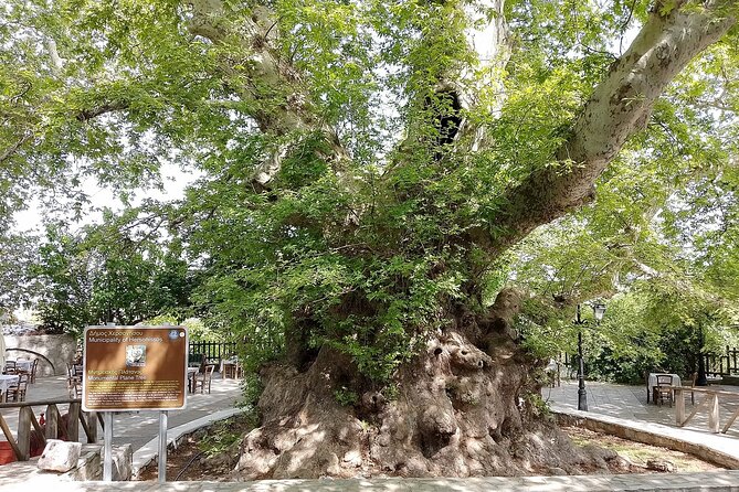Full Day Knossos Palace Zeus Cave Lassithi Plateau from Elounda - Wrapping It Up