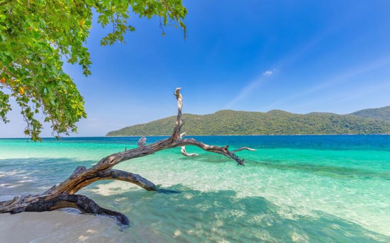 Full-Day Koh Lipe 5 points Snorkeling Experience with Lunch - Authentic Traveler Feedback
