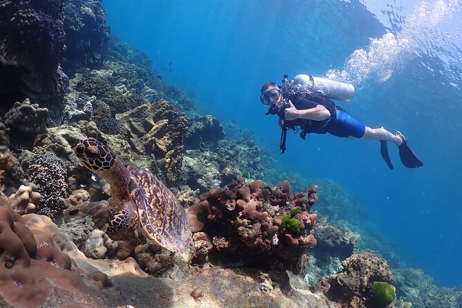 Full-Day Koh Phi Phi Scuba Diving Course from Phuket - Who Is This Tour Best For?