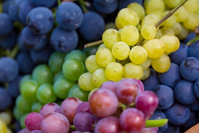 Full-Day Korean orchard tour with Lunch[Depart from Busan] - Who Will Love This Tour?