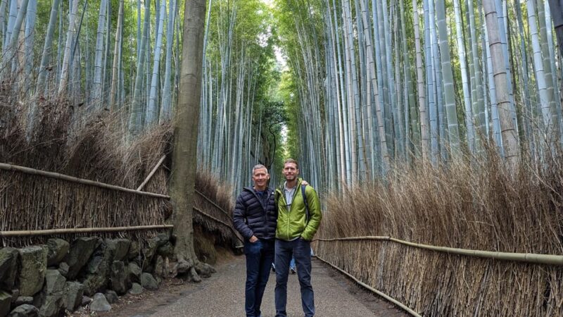 Full-Day Kyoto Walking Tour: Most Iconic Landmarks & Monkeys - What to Expect on the Tour