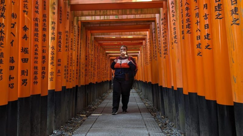 Full-Day Kyoto Walking Tour: Most Iconic Landmarks & Monkeys - Tour Inclusions and Important Information