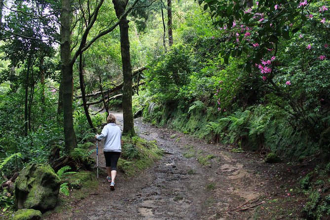 Full Day Lagoa do Fogo Tour + Walking + Liquor Tasting PRIVATE - The Experience and Guides
