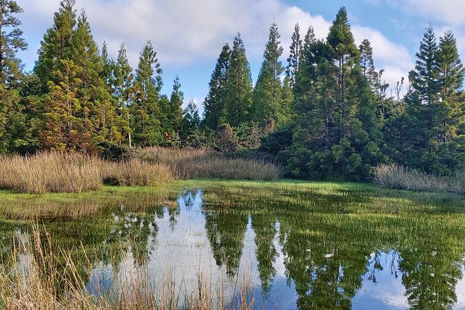 Full Day Lagoons and Volcanoes Tour in Terceira Island - Authenticity and Traveler Feedback
