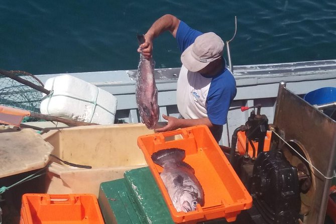 Full-Day Lagos and Sagres Tour From Albufeira - What to Expect From Your Full-Day Lagos and Sagres Tour