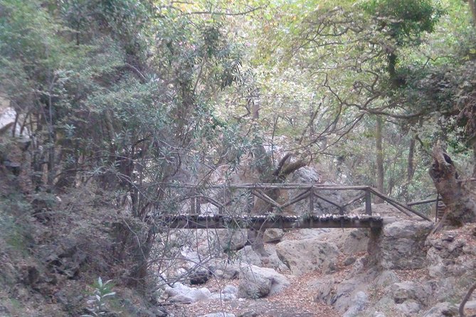 Full-Day Land Rover Safari From Rethymno With Lunch Swimming - Refreshing Swim at Preveli Beach