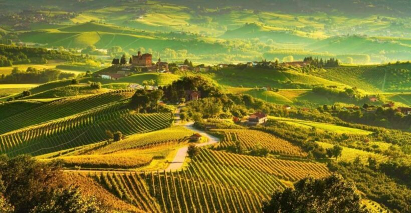 Full-Day Langhe Region Tour with Wine Tasting Experience - What Makes This Tour Stand Out?