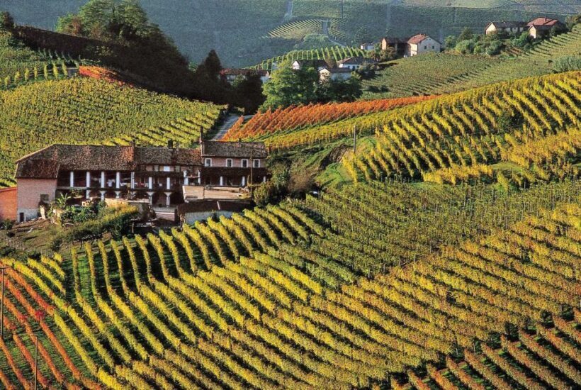 Full-Day Langhe Region Tour with Wine Tasting Experience - Who Would Enjoy This Tour?
