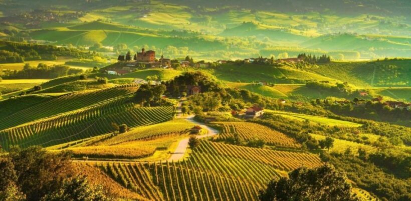 Full-Day Langhe Region Tour with Wine Tasting Experience - The Sum Up