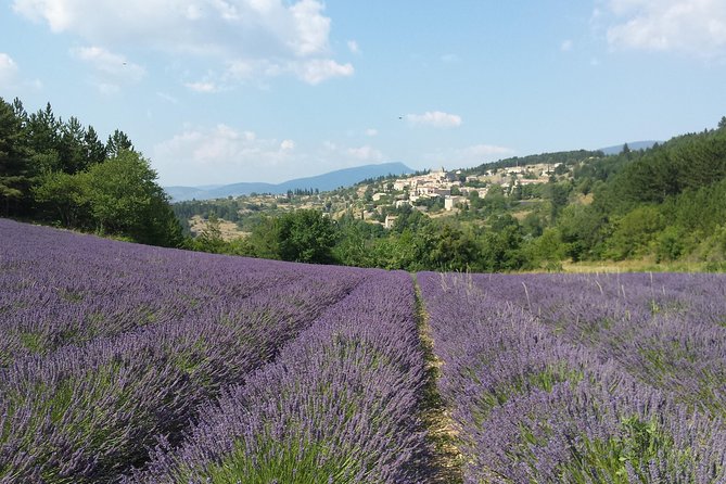 Full day lavender tour Luberon and Sault - Who Should Consider This Tour?
