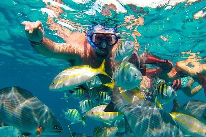 Full-Day Luxurious Catamaran Adventure - Cancún to Isla Mujeres - FAQ