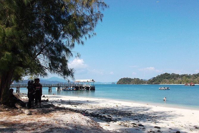 Full Day Luxury Car with Driver at Disposal in Langkawi - Key Points