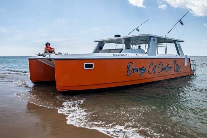 Full Day Luxury Snorkel Charter With Lunch (Minimum 10 Guests) - Introduction: Setting Sail in Style and Comfort