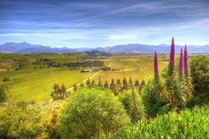 Full-Day Marlborough Scenic and Wine Tour from Blenheim - Authentic Experiences Highlighted in Reviews