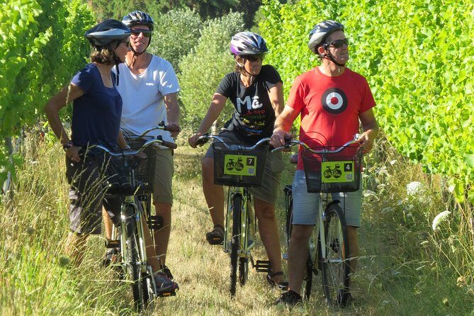 Full-Day Marlborough Wine Region Bike Hire - An In-Depth Look at the Experience