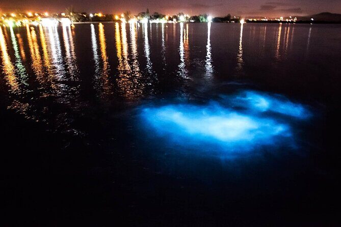 Full Day Martha Brae Rafting & Luminous Lagoon Tour with Dinner - Who Will Enjoy This Tour?