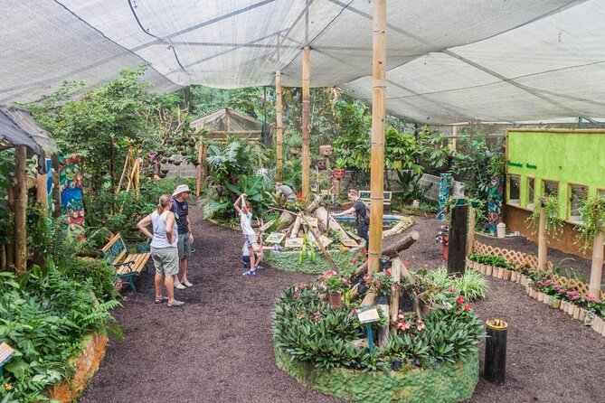 Full-Day Mindo Cloud Forest Tour Birdwatching Waterfalls and Hike - Tour Inclusions and Customer Experiences