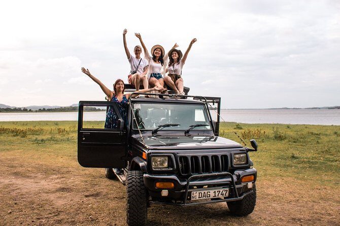 Full-Day Minneriya and Kaudulla National Parks Private Safari - An Introduction to the Safari Experience