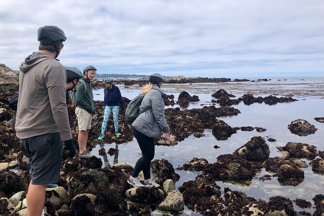 Full Day, Monterey Peninsula, 17 Mile Dr and Carmel eBike Rental - Practical Considerations and Tips