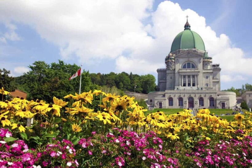 Full-Day Montreal City Tour from Ottawa and optional cruise - Who Should Book This Tour?