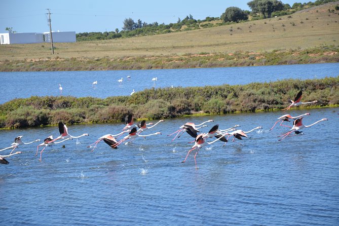 Full Day Moorish Trail Tour - Exploring Local Culture and Cuisine