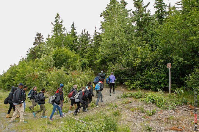 Full-Day Mount Riley Hike from Haines - Key Points