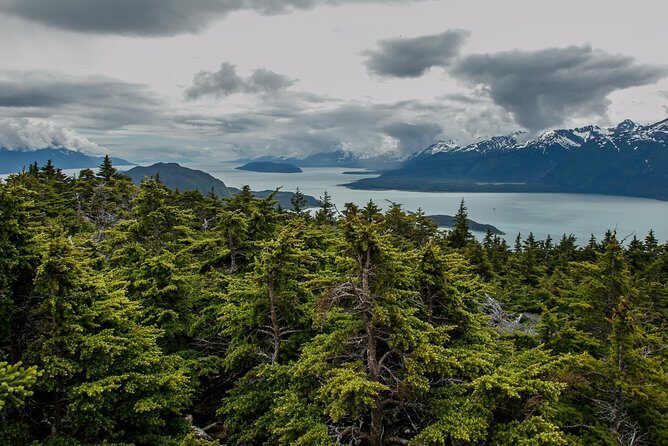Full-Day Mount Riley Hike from Haines - Transport, Timing, and Group Size