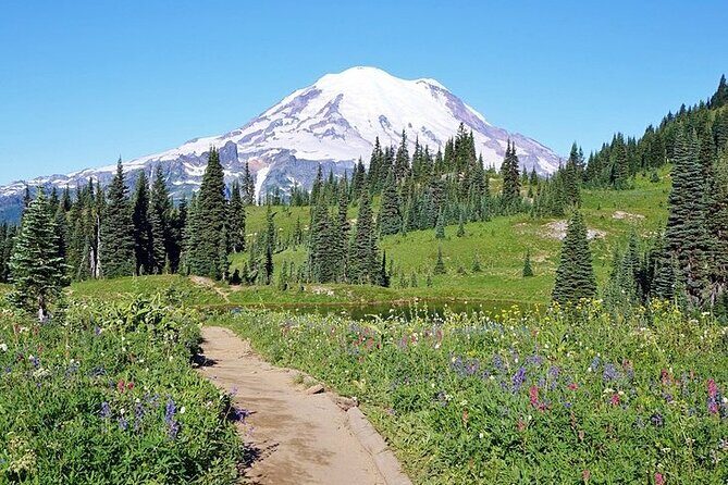 Full-Day Mt Rainier National Park Private Tour in SUV - What to Expect from the Itinerary