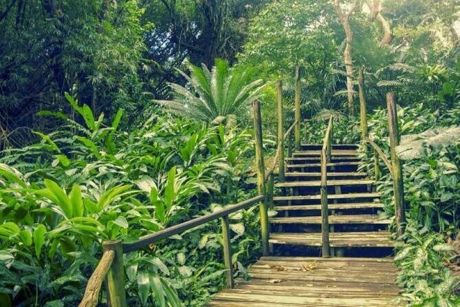 Full Day Nadi Discover Tour ( From Sigatoka Coral coast Hotels ) - Key Points