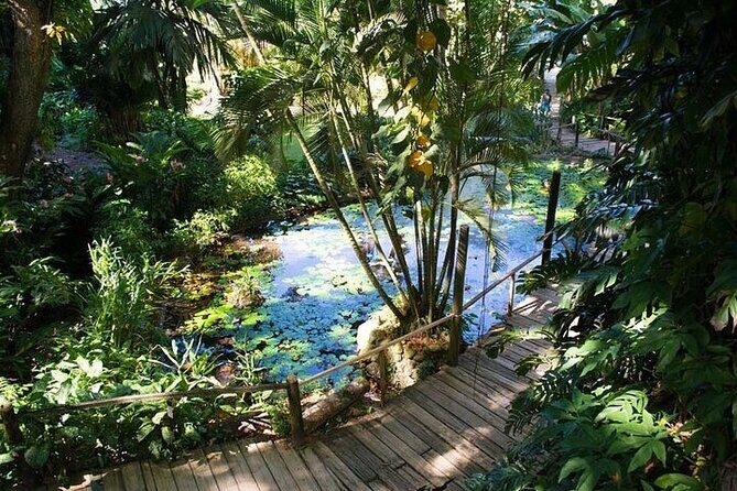 Full Day Nadi Discover Tour ( From Sigatoka Coral coast Hotels ) - The Garden of the Sleeping Giant