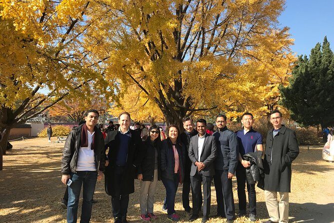[ Full Day ] Nami Island & Petit France From Seoul - What the Reviews Say
