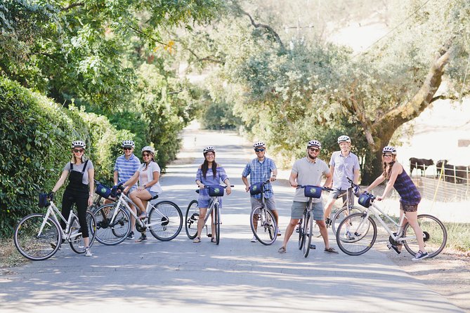 Full-Day Napa Valley E-Bike Tour With Picnic Lunch - Meeting and Logistics